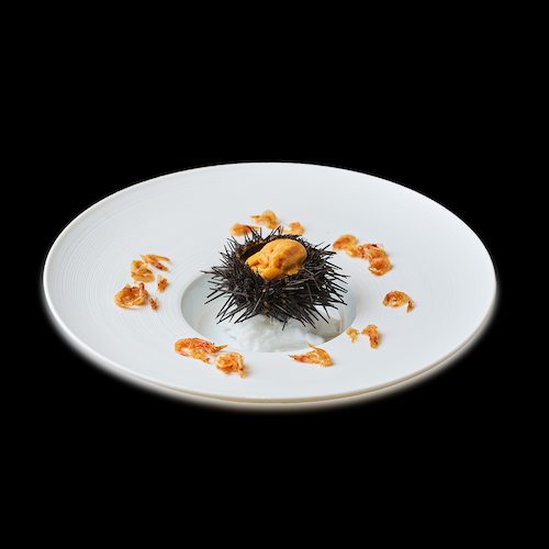 Omakase Dining at Tenko Omakase Restaurant: An Exquisite Culinary ...